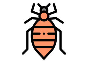 Rose Pest Control | Chicagoland's Most Trusted Exterminators