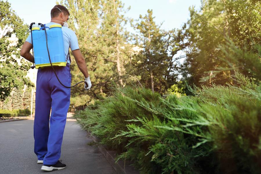 Locations | Illinois - Wisconsin | Rose Pest Solutions