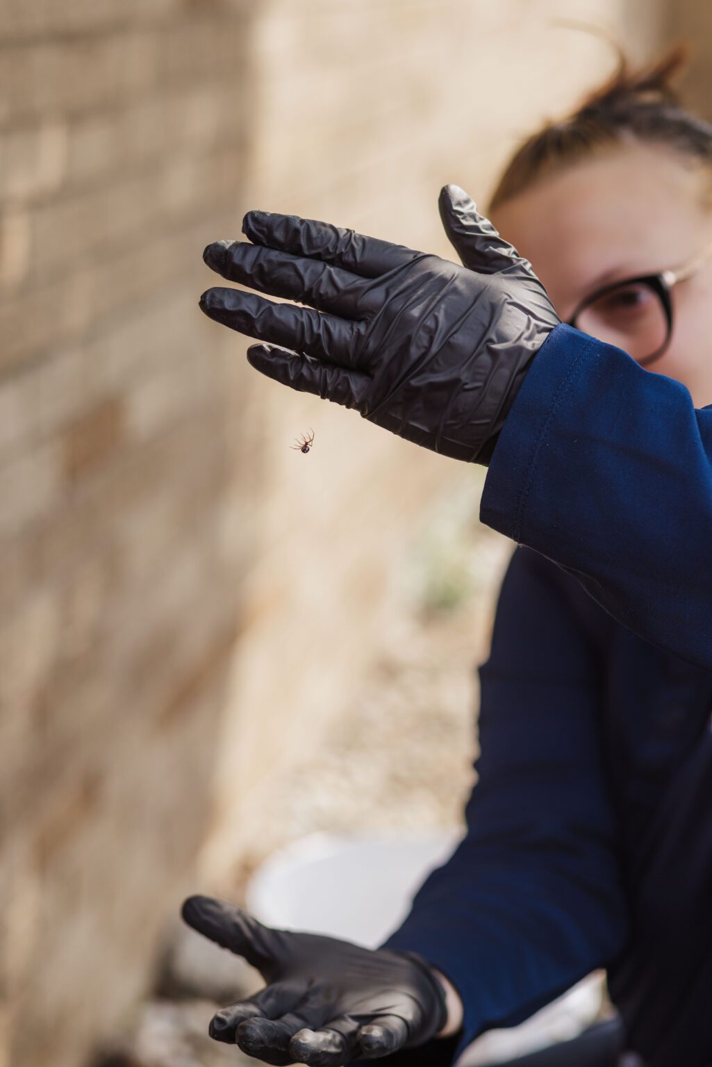 Residential Pest Control Service by Rose Pest Solutions