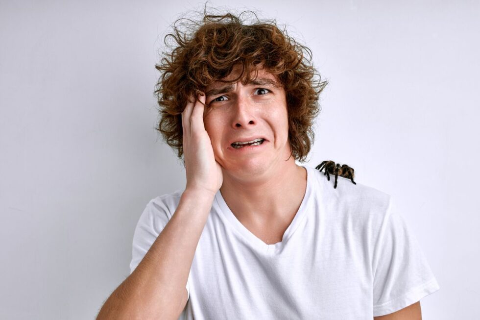 Chicagoland's Trusted Exterminators | Rose Pest Solutions